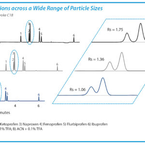 Colonnes HPLC à phase inverse Regis - Jasco France