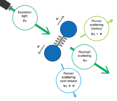 Spectroscopie Raman : Principe et Spectromètres - Jasco France