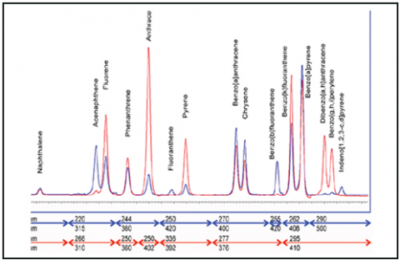 Détecteur de fluorescence pour chromatographie HPLC et UHPLC